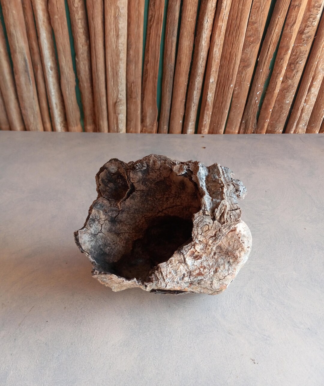 A Nice Saguaro Cactus Boot, for Terrarium Decor, Table Display, Art ...