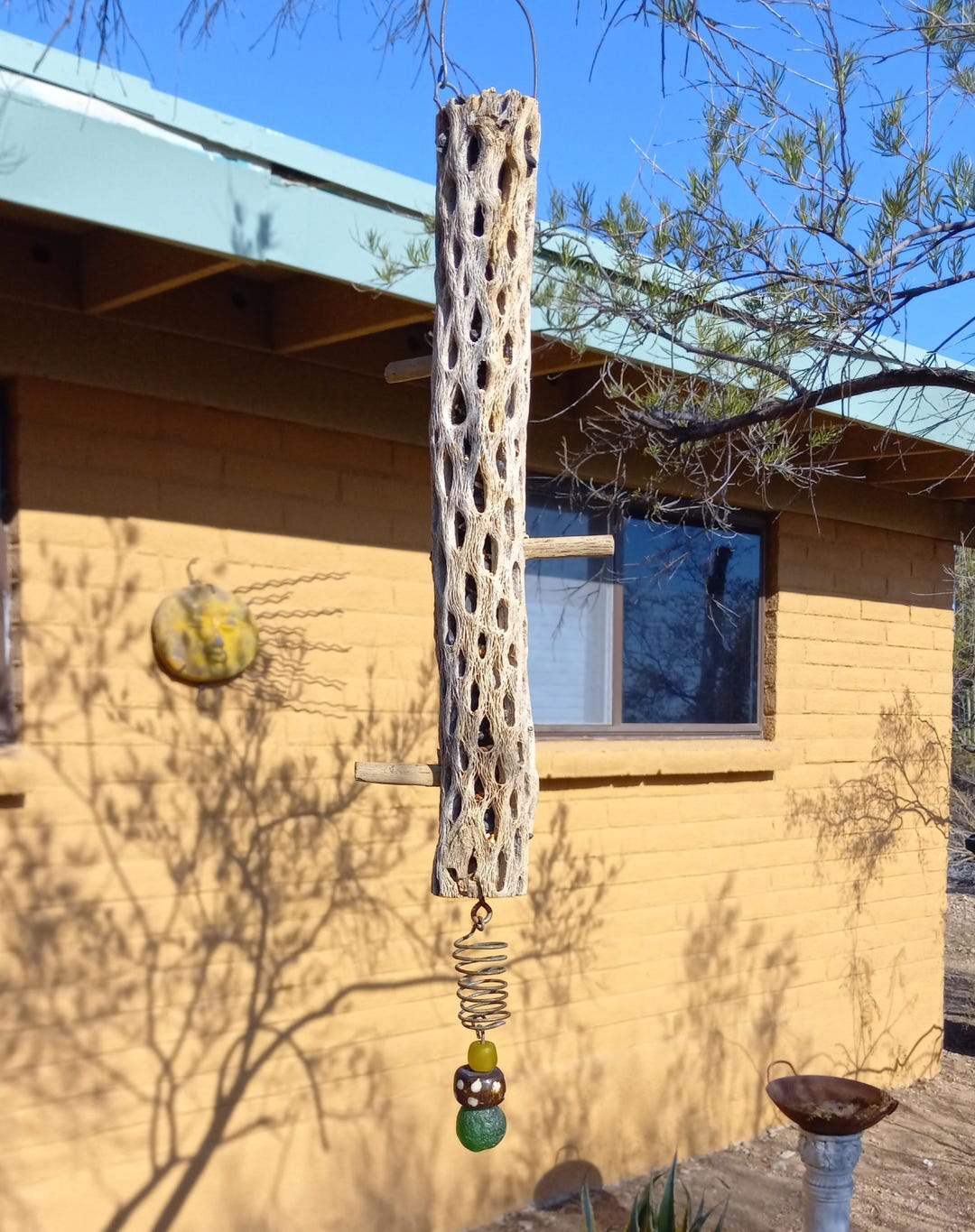 Tall Cholla Cactus Bird Feeder: Saguaro Rib Perches, African Glass ...