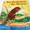 My Flower Book, Vintage 1960s Rand Mcnally Elf Children's Book, by ...