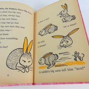 Question and Answer Book Vintage 1960s Easy Reader - Etsy