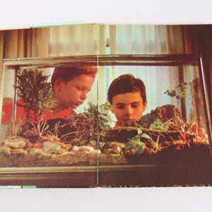 Golden Book of Wild Animal Pets, Vintage Children's Book, Text and ...