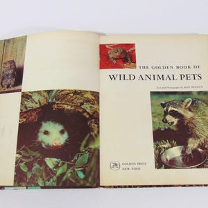 Golden Book of Wild Animal Pets, Vintage Children's Book, Text and ...