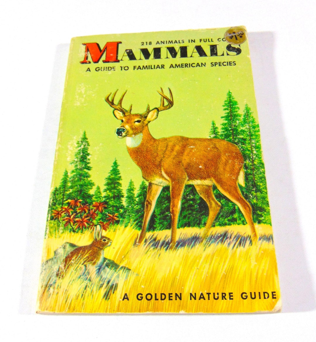 Mammals, Vintage 1950s Golden Nature Guide Book, Written by Herbert Zim ...