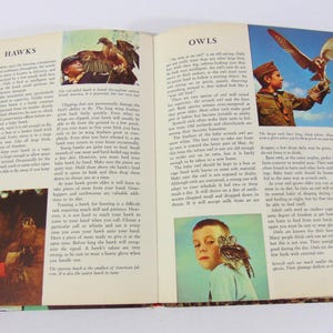 Golden Book of Wild Animal Pets, Vintage Children's Book, Text and ...