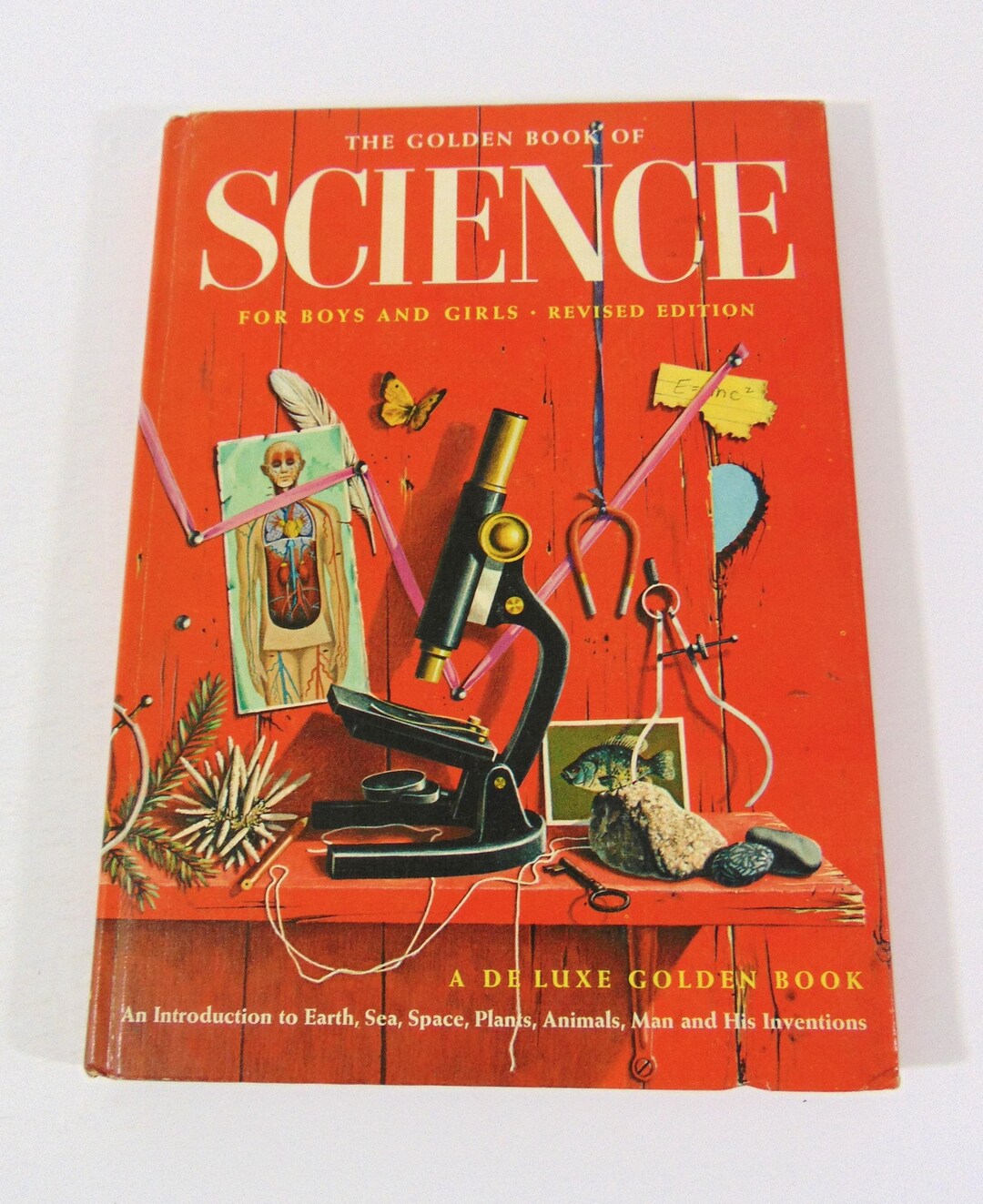 Golden Book of Science for Boys and Girls, Vintage Children's Book, by ...