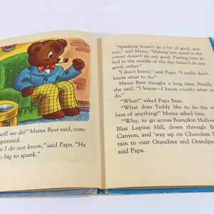 Teddy Bear of Bumpkin Hollow, Vintage Rand Mcnally Elf Book, Written by ...