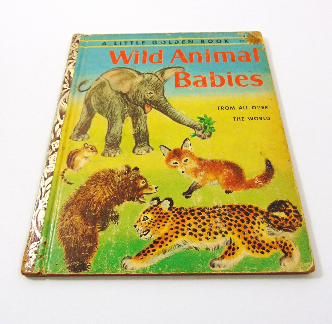 Wild Animal Babies, Vintage Children's Little Golden Book, Written by ...