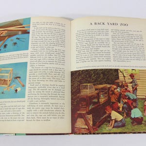 Golden Book of Wild Animal Pets, Vintage Children's Book, Text and ...