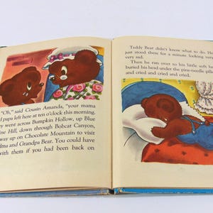 Teddy Bear of Bumpkin Hollow, Vintage Rand Mcnally Elf Book, Written by ...