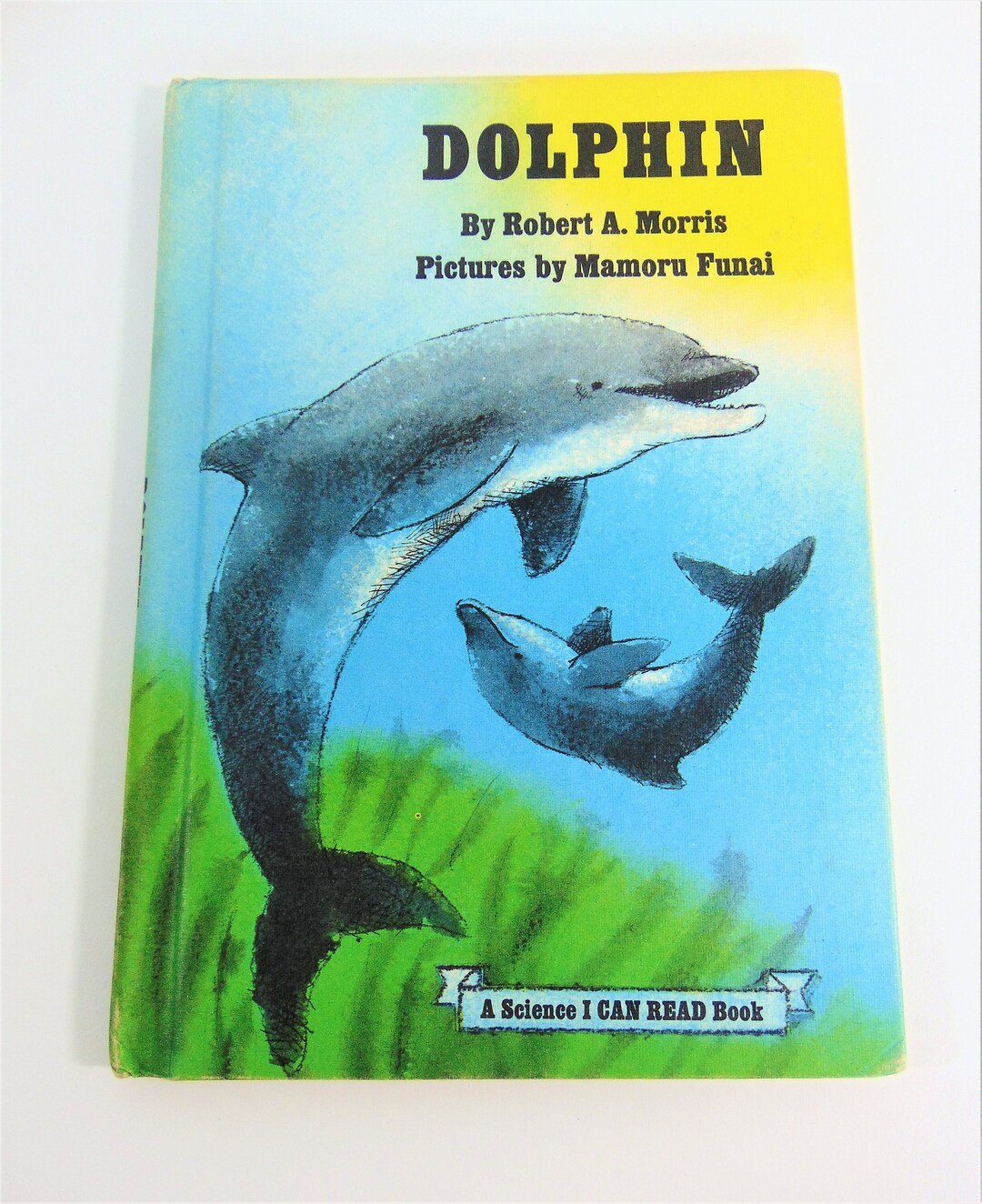 Dolphin, Vintage 1970s Science I Can Read Children's Book, Written by ...