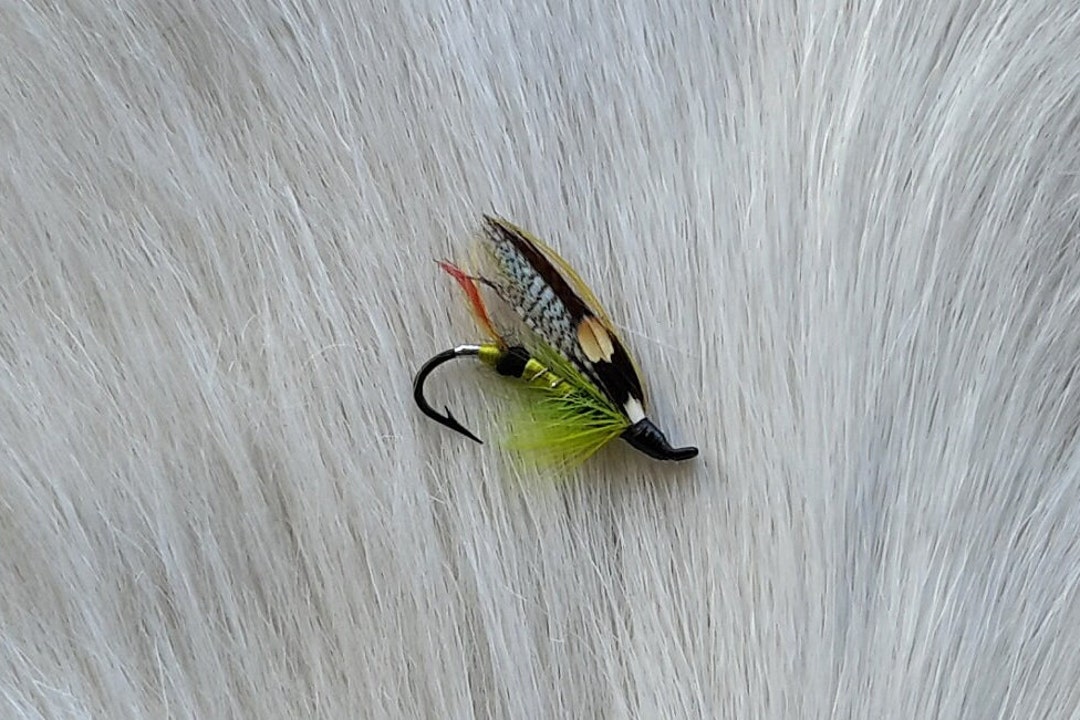 Fly Fishing Flies.. SLS; Fully Dress Salmon Flies .. (1) Flies, Size #6 ...