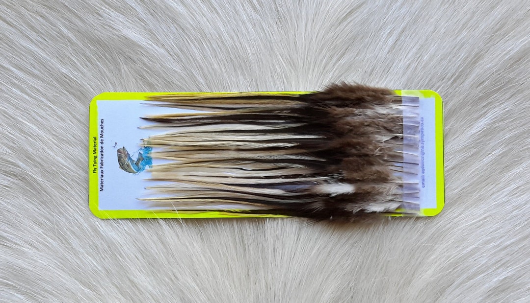 Fly Tying Feather... Extra Select Saddle Hackle (feather) (25) per Pack ...