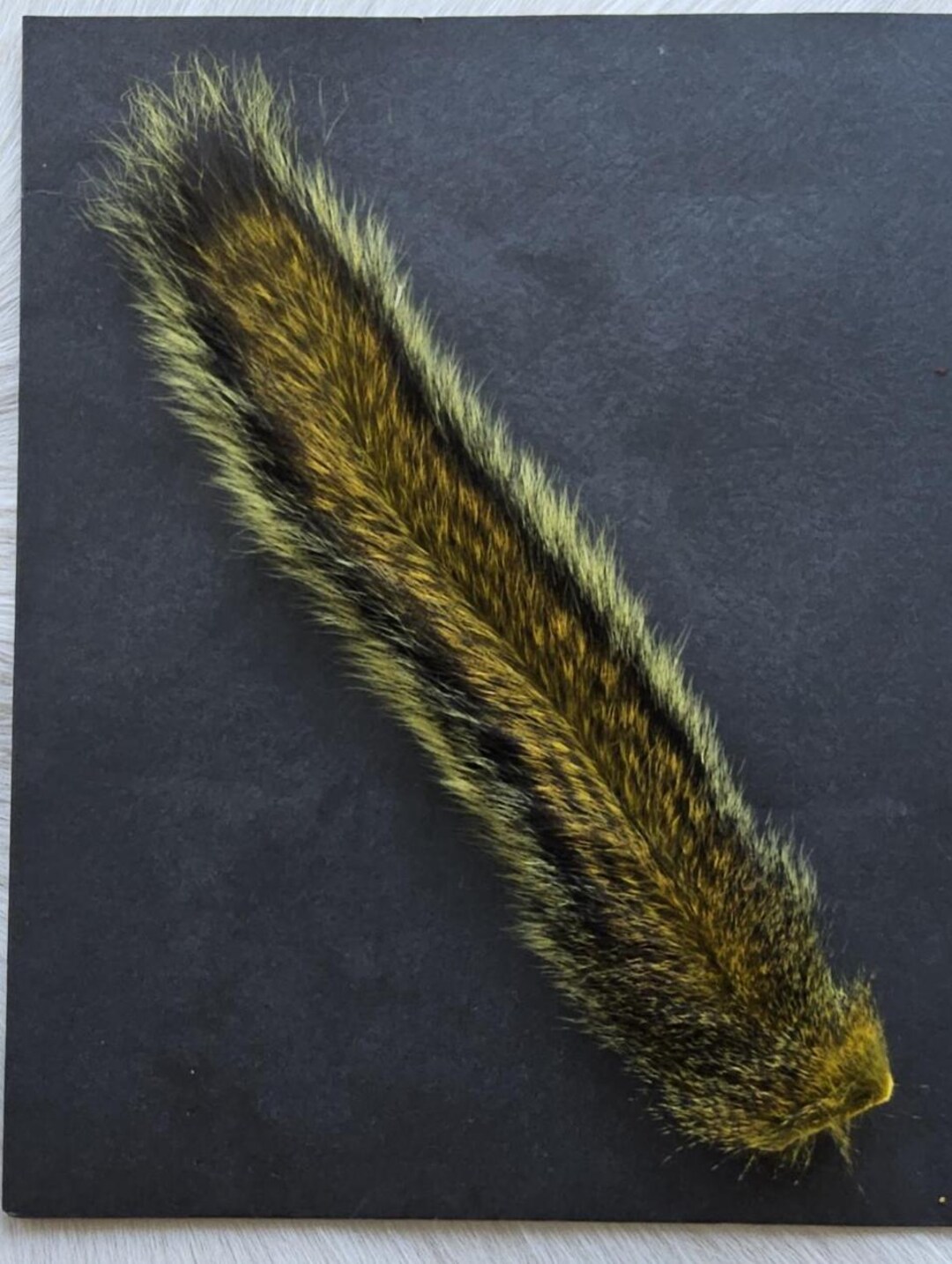 Squirrel Tail... Fly Tying , (1) Large Select , Color.. Natural Gray ...
