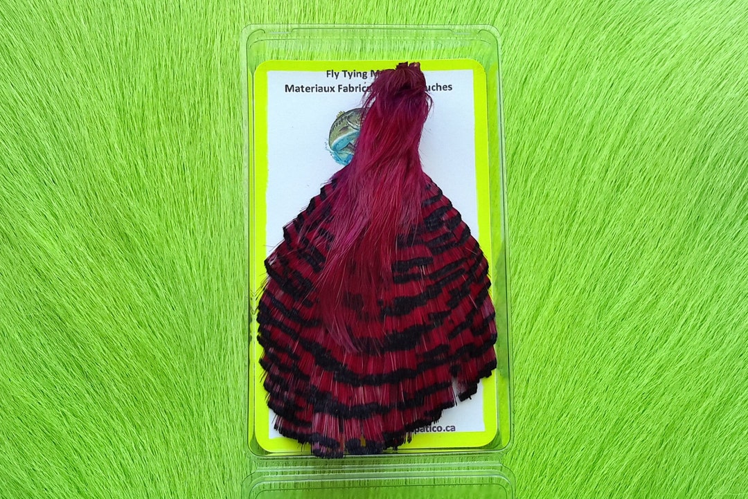 Fly Tying Feather... (1) Golden Pheasant Cape.. Grade "a" Color ...