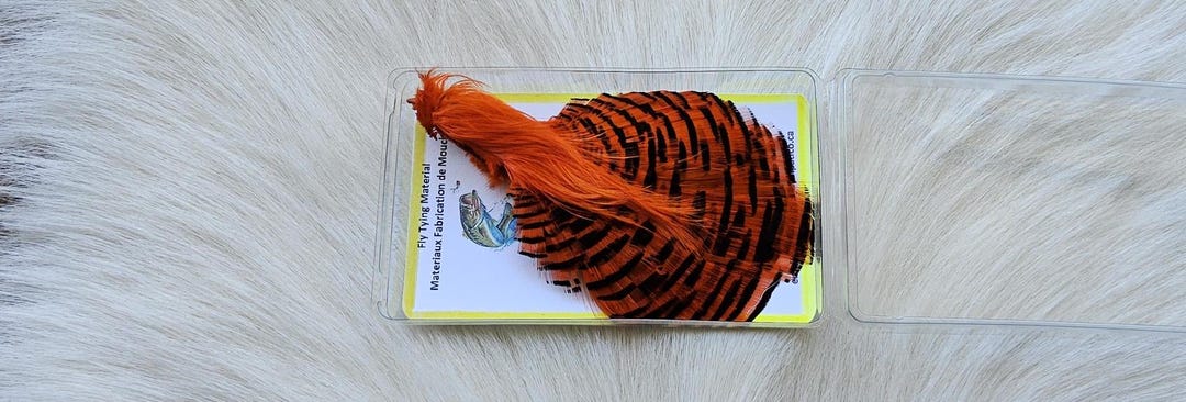 Golden Pheasant Cap. Fly Tying Feather... (1) Golden Pheasant Cape ...