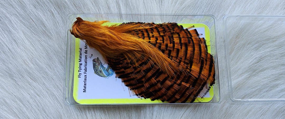 Golden Pheasant Cape. Fly Tying Feather... (1) Golden Pheasant Cape ...