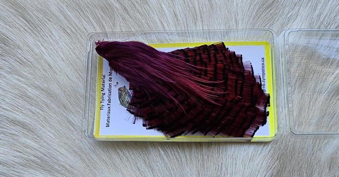 Golden Pheasant Cap. Fly Tying Feather... (1) Golden Pheasant Cape ...