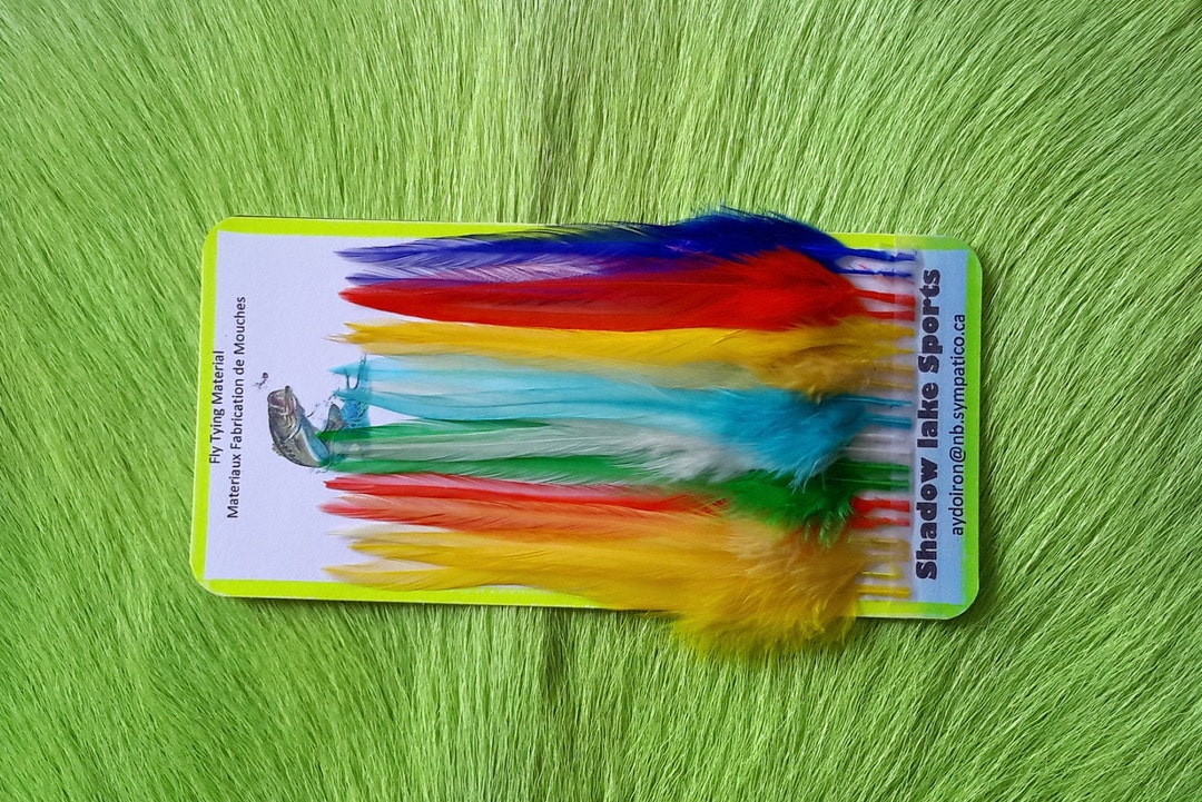 Fly Tying Feather... Select Saddle Hackle (feather) (25) per Pack ...