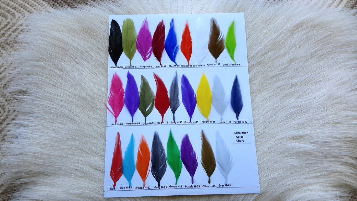 Fly Tying Saddle Hackle Feather... One Only (25) per Pack Selected ...