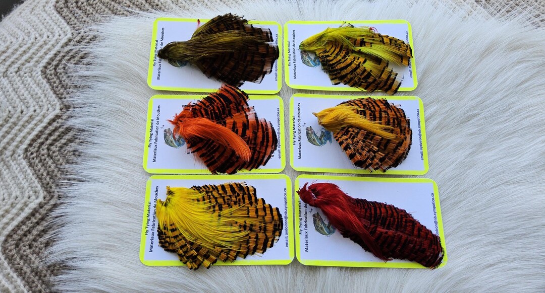 Golden Pheasant Cape. Fly Tying Feather... (6) Golden Pheasant Cape ...
