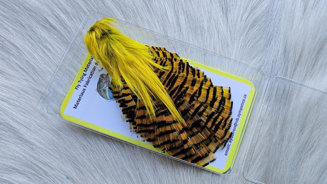 Golden Pheasant Cape. Fly Tying Feather... (1) Golden Pheasant Cape ...
