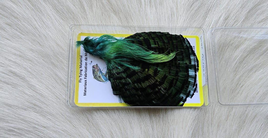 Golden Pheasant Cape. Fly Tying Feather... (1) Golden Pheasant Cape ...