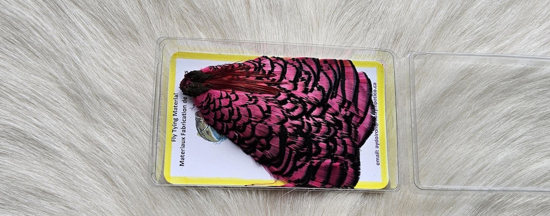Lady Amherst Pheasant Cape. Fly Tying Feather... (1) Lady Amherst ...