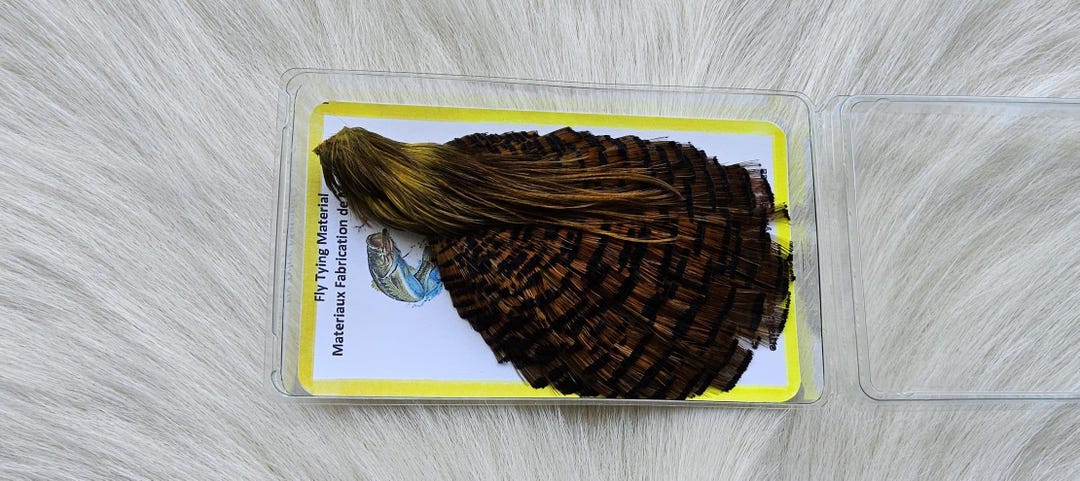 Golden Pheasant Cape. Fly Tying Feather... (1) Golden Pheasant Cape ...