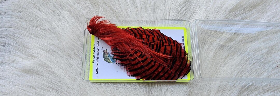 Golden Pheasant Cap. Fly Tying Feather... (1) Golden Pheasant Cape ...