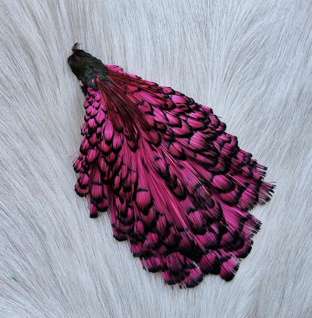 Lady Amherst Pheasant Cape. Fly Tying Feather... (1) Lady Amherst ...