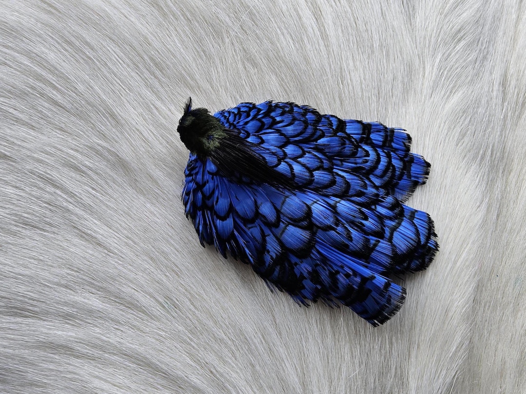 Lady Amherst Pheasant Cape. Fly Tying Feather... (1) Lady Amherst ...