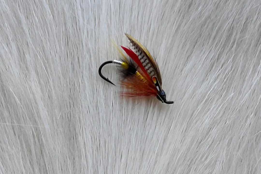 Fly Fishing Flies.. SLS; Fully Dress Salmon Flies. (1) Only Size 6.. JC ...