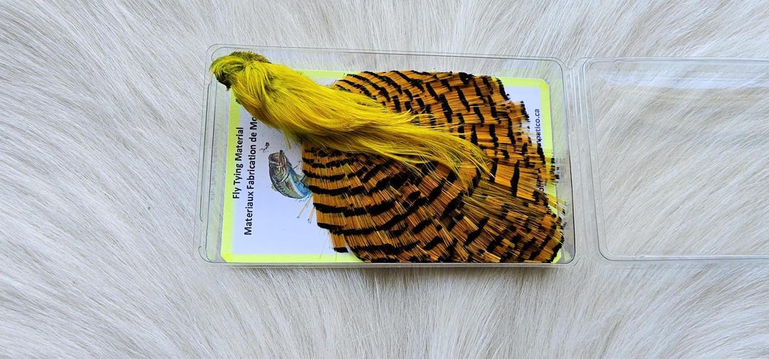 Golden Pheasant Cape. Fly Tying Feather... (1) Golden Pheasant Cape ...