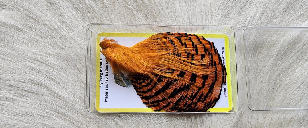Golden Pheasant Cape. Fly Tying Feather... (1) Golden Pheasant Cape ...