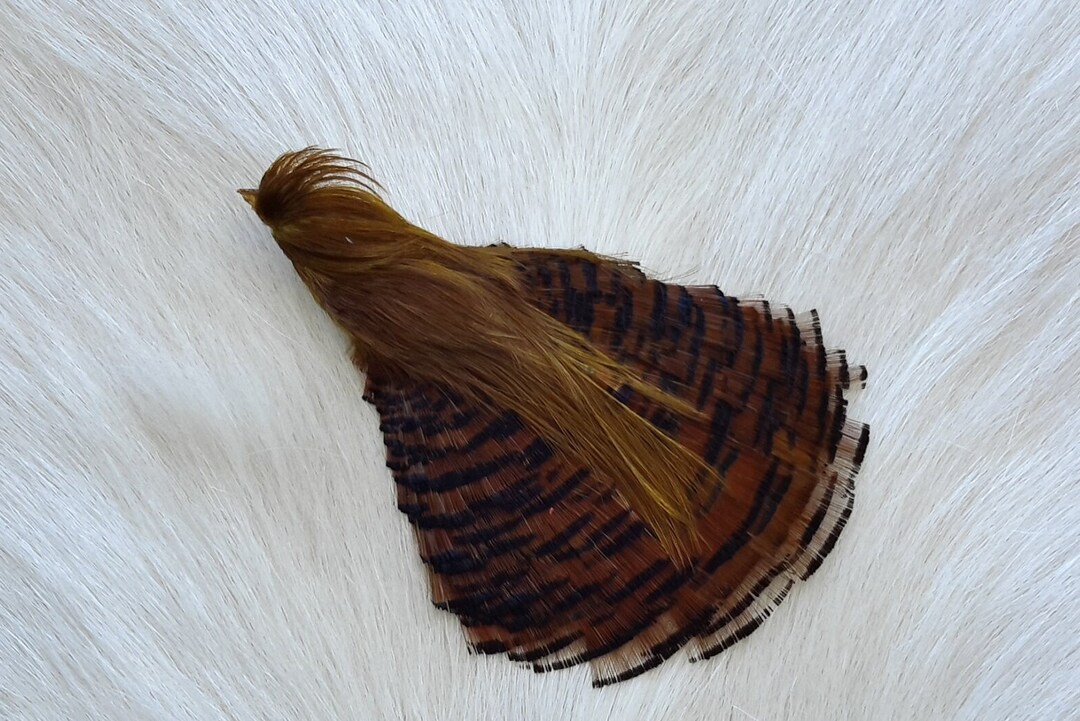 Fly Tying Feather... 1 Golden Pheasant Cape.. Grade a Color,, Olive ...