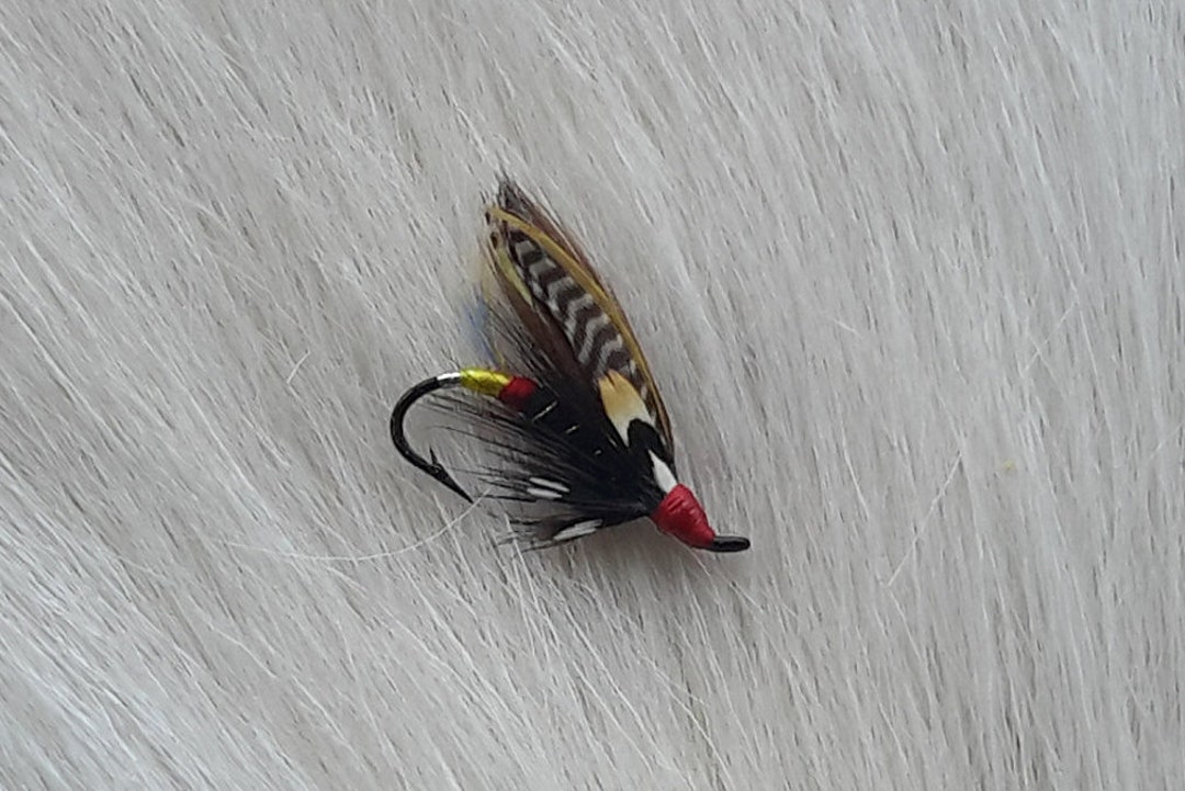 Fly Fishing Flies.. SLS; Fully Dress Salmon Flies .. (1) Flies, Size #6 ...