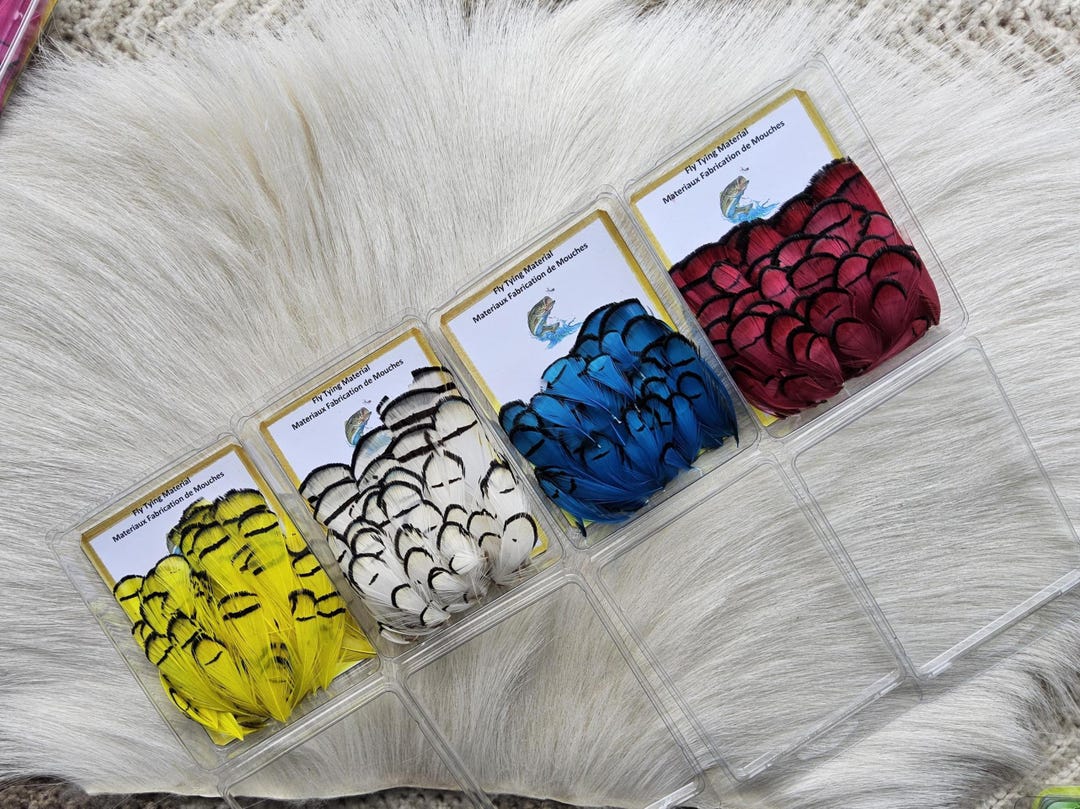 Lady Amherst Pheasant Feather.. Fly Tying Feather... (1) Lady Amherst ...