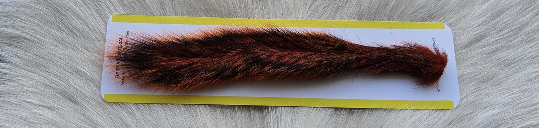 Squirrel Tail... Fly Tying , (1) Large Select , Color.. Orange Color ...