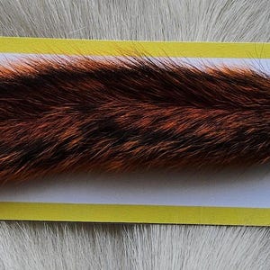 Squirrel Tail... Fly Tying , (1) Large Select , Color.. Orange Color ...