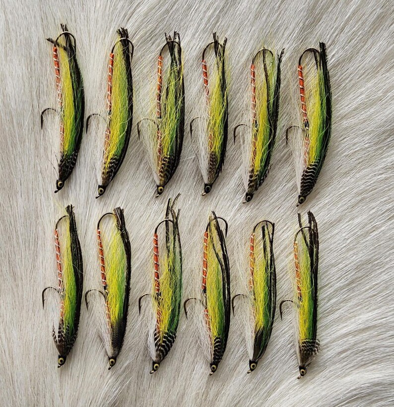 Salmon & Trout Streamer Fly Fishing Flies Combo. Comes With Trolling ...