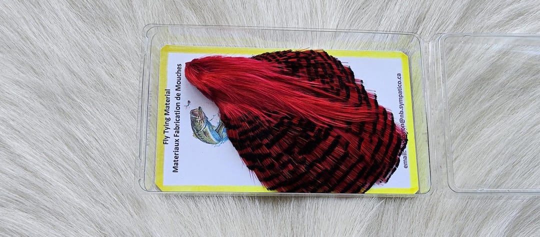 Golden Pheasant Cape. Fly Tying Feather... (1) Golden Pheasant Cape ...