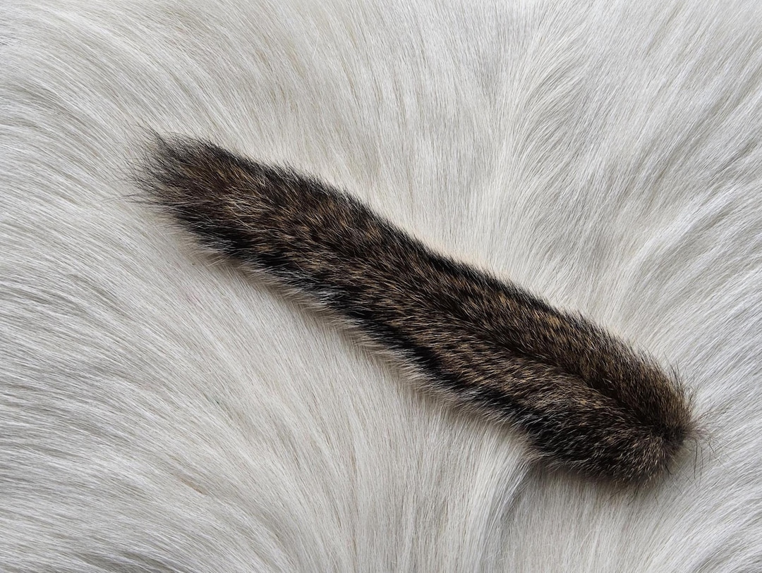 Squirrel Tail... Fly Tying , (1) Large Select , Color.. Natural Grey ...
