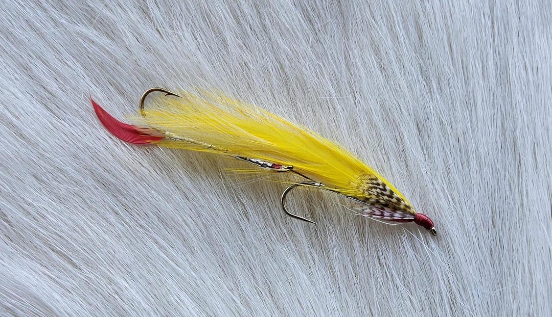Streamer Fly Fishing Flies. Comes With Trolling Hooks. . Our Most ...