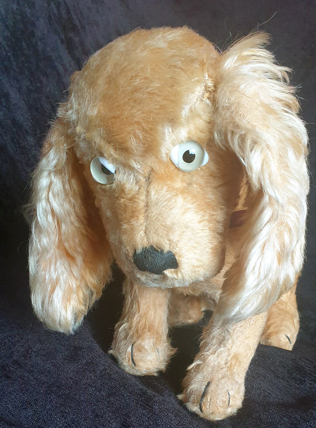 Steiff Blond Mohair Rare Cocker Spaniel Dog Revue Susi Original Vintage ...