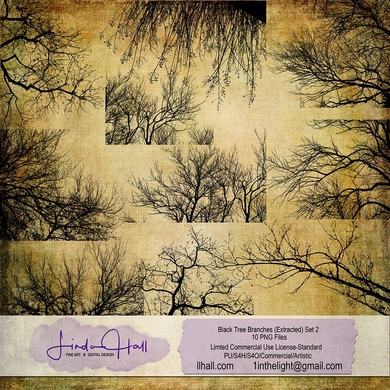 Black Tree Branches - Etsy