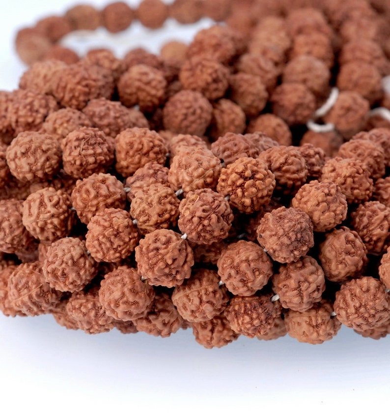9mm Natural Rudraksha Bodhi Seed Gemstone Mala Prayer Deep - Etsy