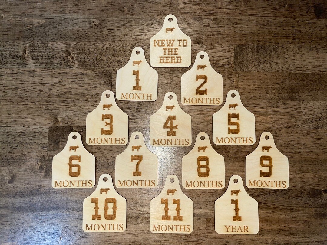 Cow Tag Milestone Laser Cut File - Etsy