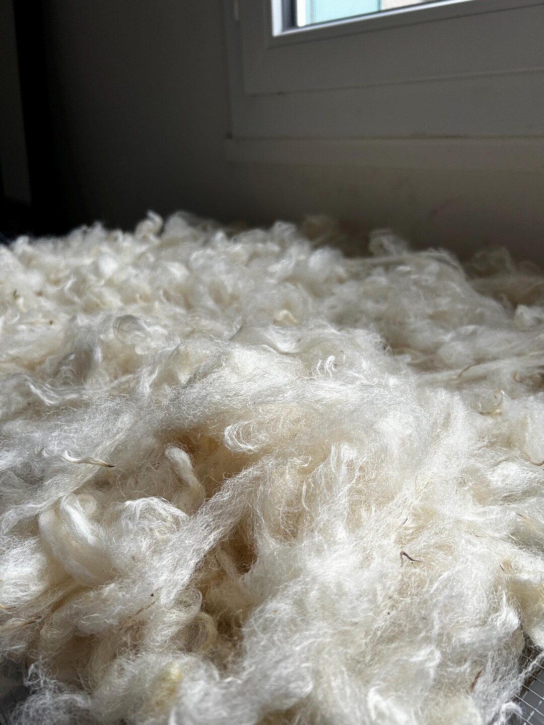 Hand-washed Romney Wool - Stuffing/carding/spinning - Etsy