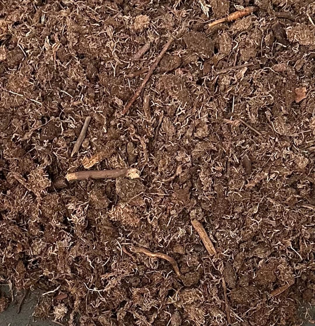 Cali-bon Premier Organic Coarse Canadian Sphagnum Peat Moss All-purpose ...