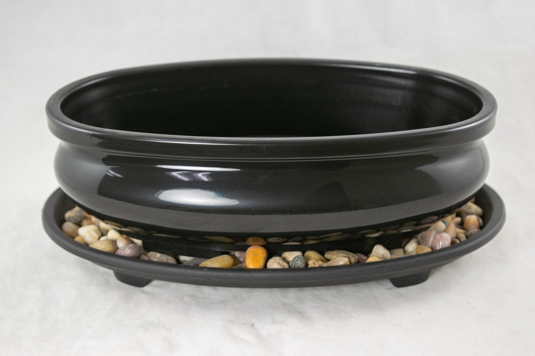 Yubonzai 9" Oval Heavy Duty Plastic Bonsai Training Pot, Cactus ...